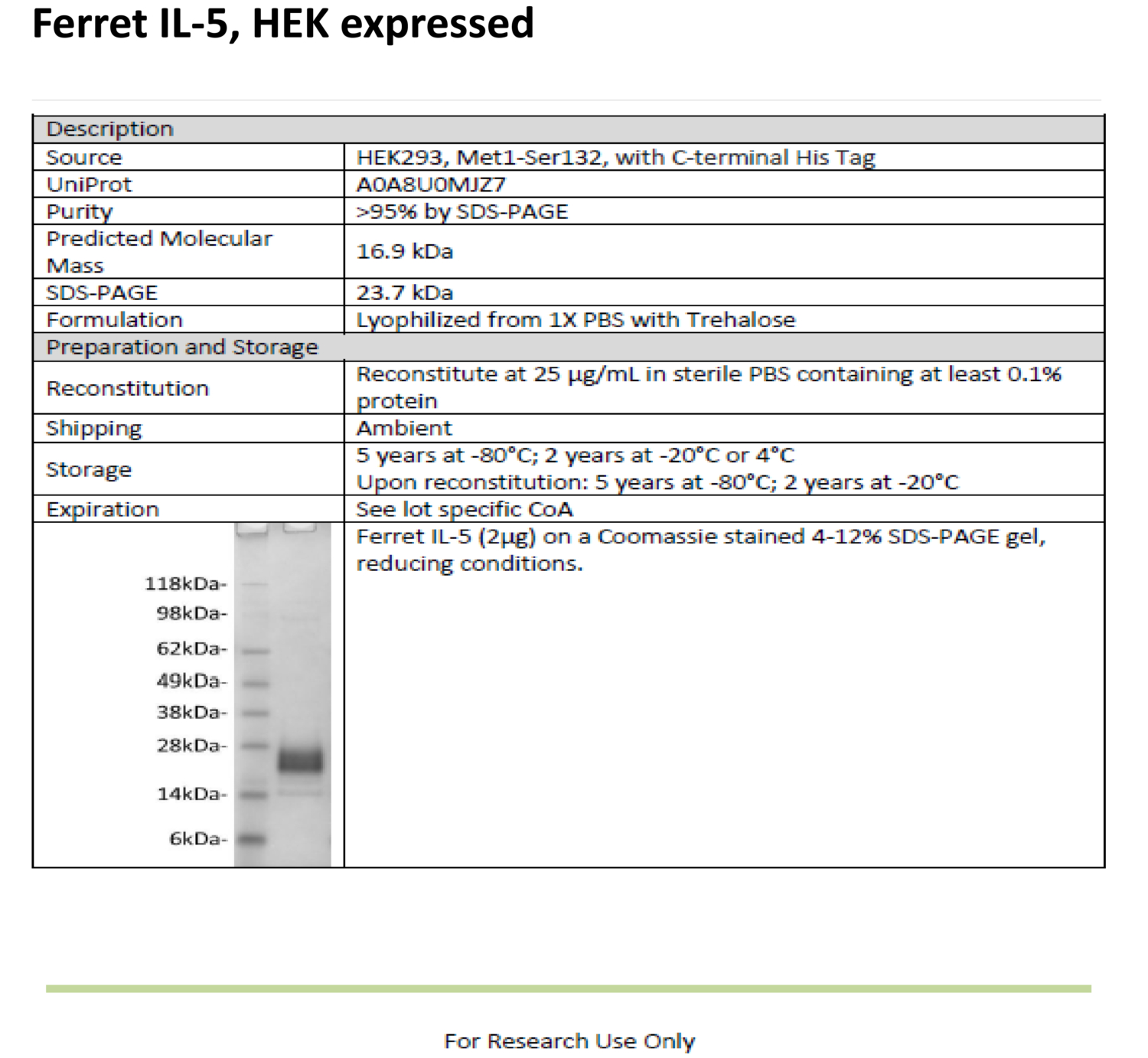 Recombinant Ferret IL-5 Protein (HEK293) | Ampersand Biosciences