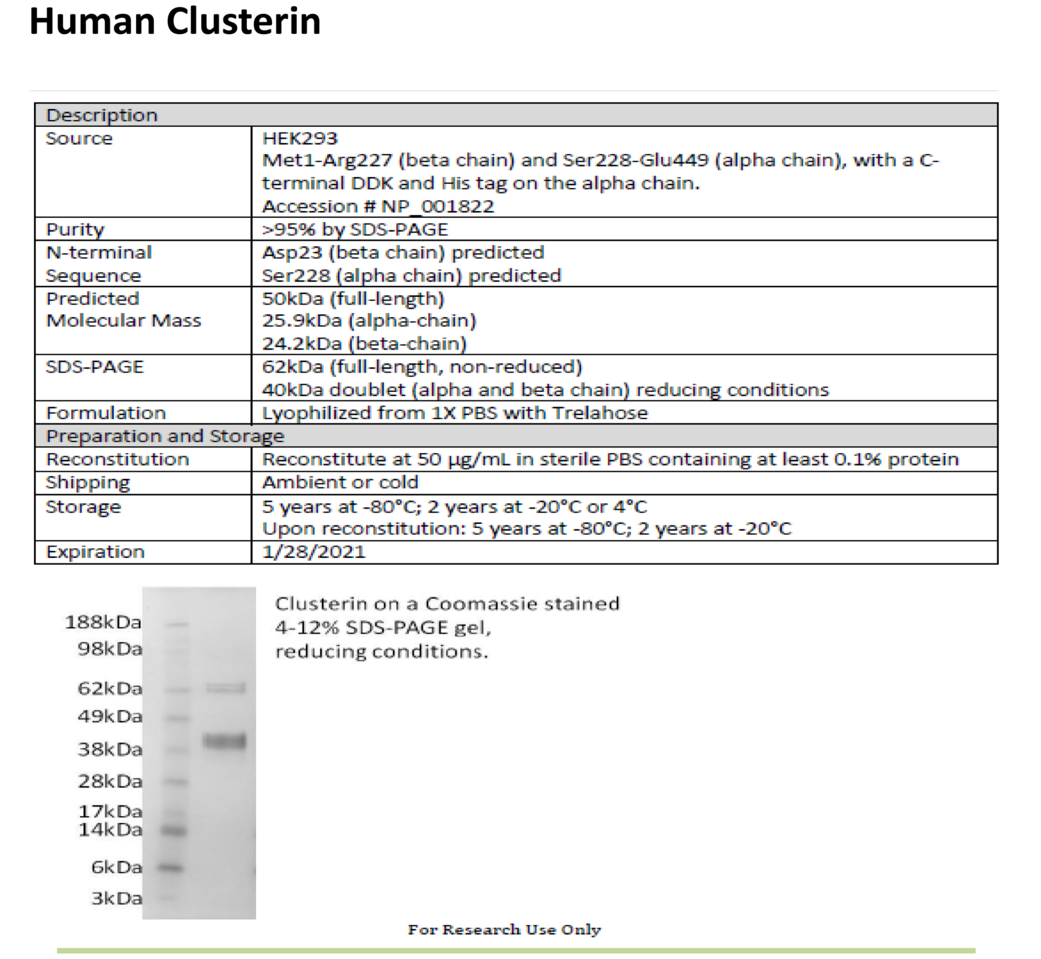 Recombinant Human Clusterin (Apo J) Protein (HEK293) | Ampersand ...