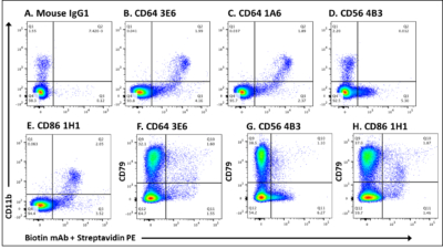 Ferret CD56 Monoclonal Antibody (FT56-4B3) | Ampersand Biosciences